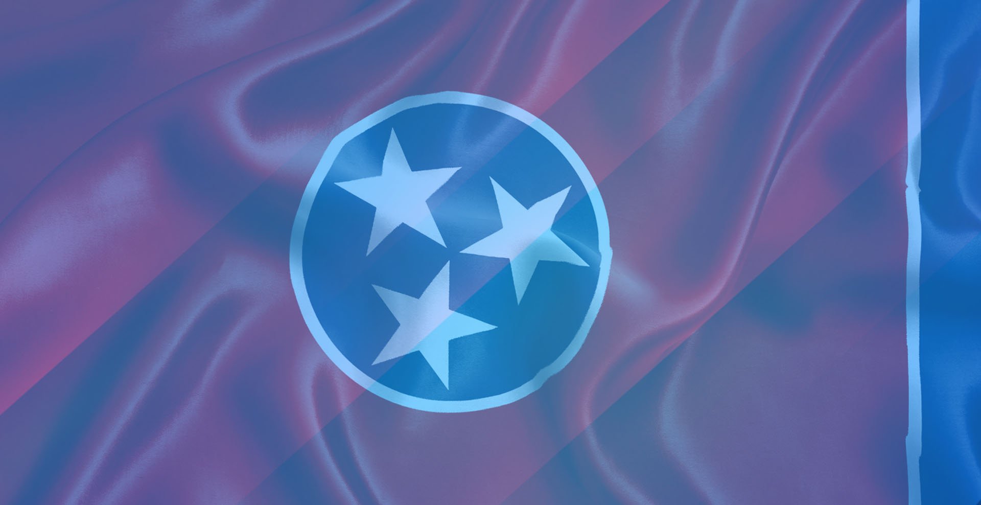 NAIFA-TN State History